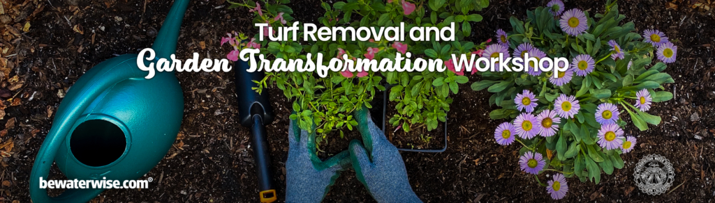 Turf Removal Garden Transformation And Goodbye Grass Workshops - G3 ...