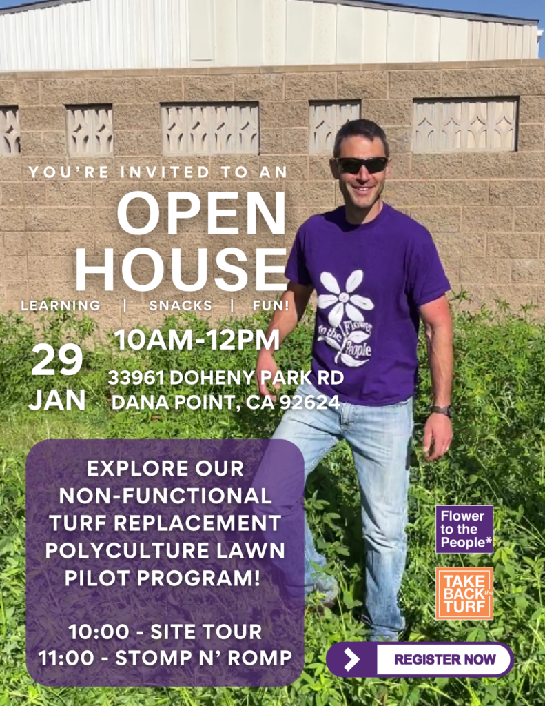 Site Tour Stomp And Romp: Costco San Juan Capistrano - G3, Green ...